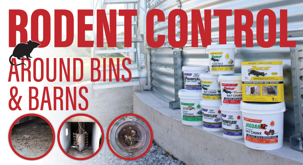 Rodent Control Around Bins & Barns | Stutsmans