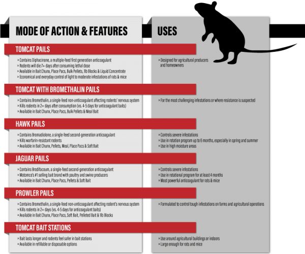 Rodent Control Around Bins & Barns | Stutsmans
