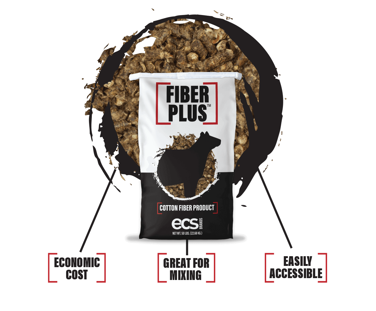 Fiber Plus Cattle Feed | Economical Fiber Source | Stutsmans